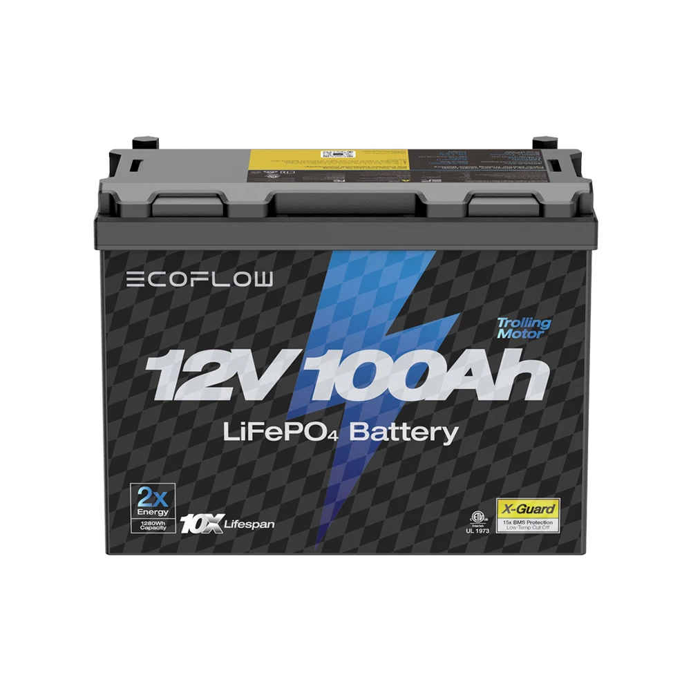EcoFlow 12v 100ah Lfp Battery – Turfrey.co.nz